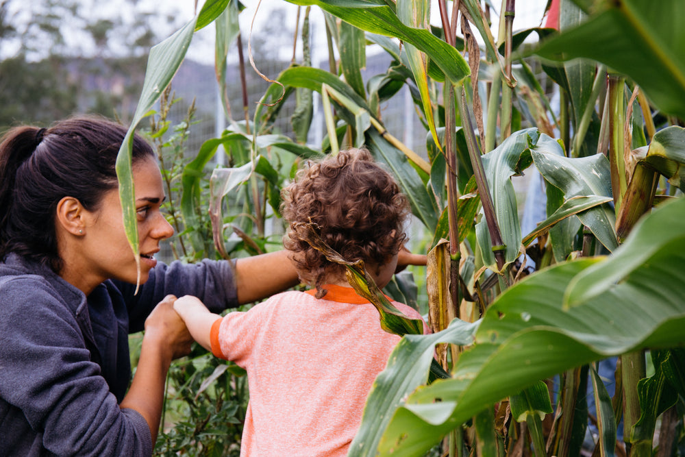 Native Foodways is a First Nations led social enterprise.